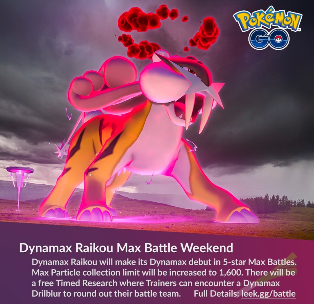 Dynamax Raikou Legendary Raid Service - Pokemon GO, Video Gaming, Video ...