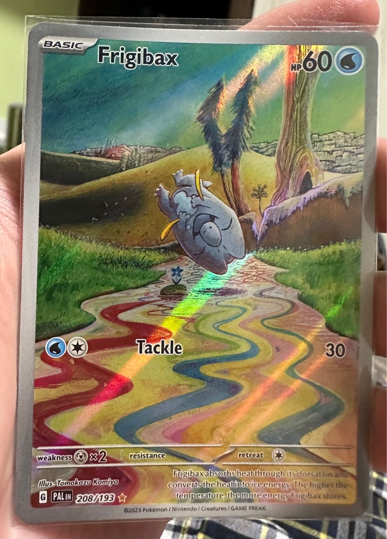 Frigibax & Forretress ex, Hobbies & Toys, Toys & Games on Carousell