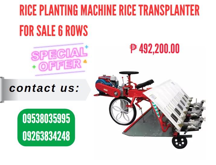 Rice Planting Machine Rice Transplanter for Sale 6 rows, Everything ...