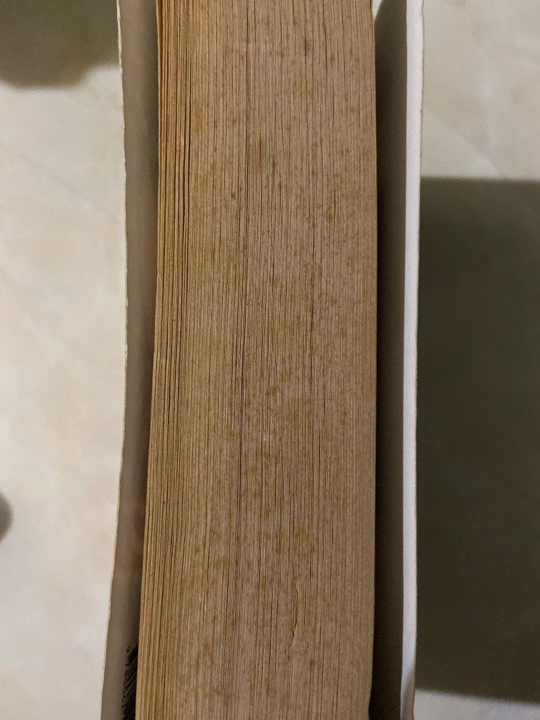 The School for Good and Evil, A world Without Princes, Hobbies & Toys ...