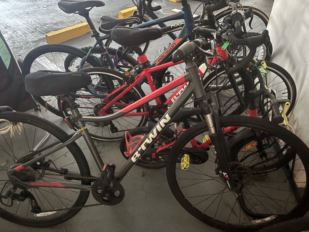 BTwin cycle with dog carriage, Sports Equipment, Bicycles & Parts ...