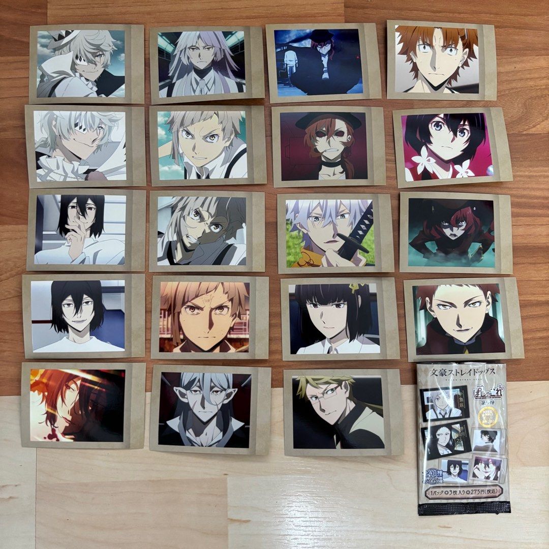 bungo bungou stray dogs bsd vol. 5 pasha colle pashakore polaroid ...
