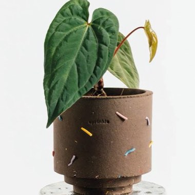 Sprinkle sprinkle plant pot brown planter 14.5cm, Furniture & Home ...