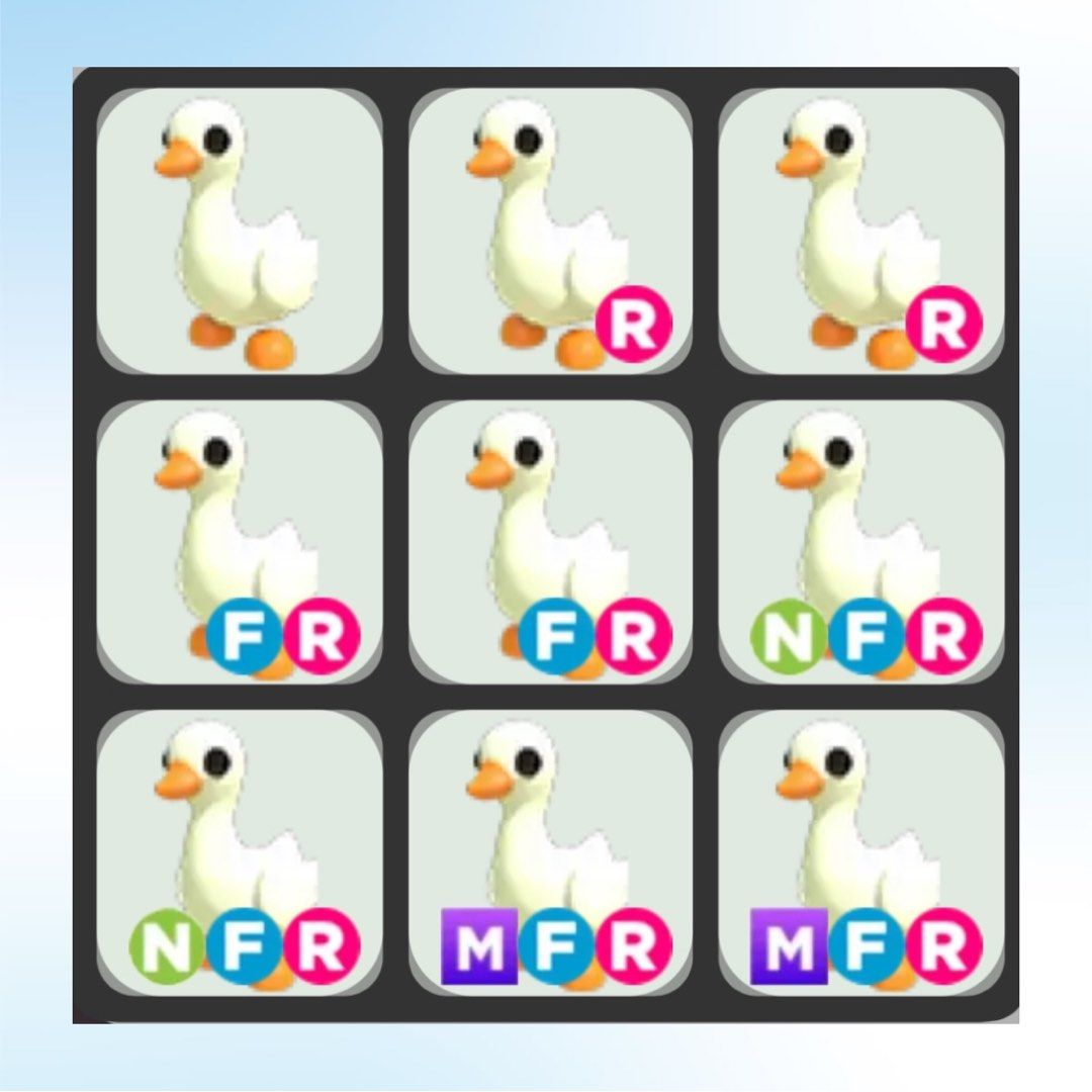 🫧🪿adopt me exotic pets ~ goose ~ cheapest prices + fastest delivery ...