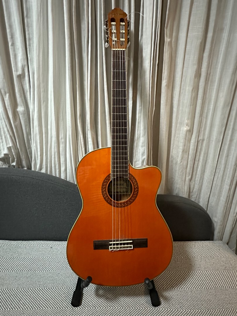 Fernando Acoustic Guitar, Hobbies & Toys, Music & Media, Musical ...