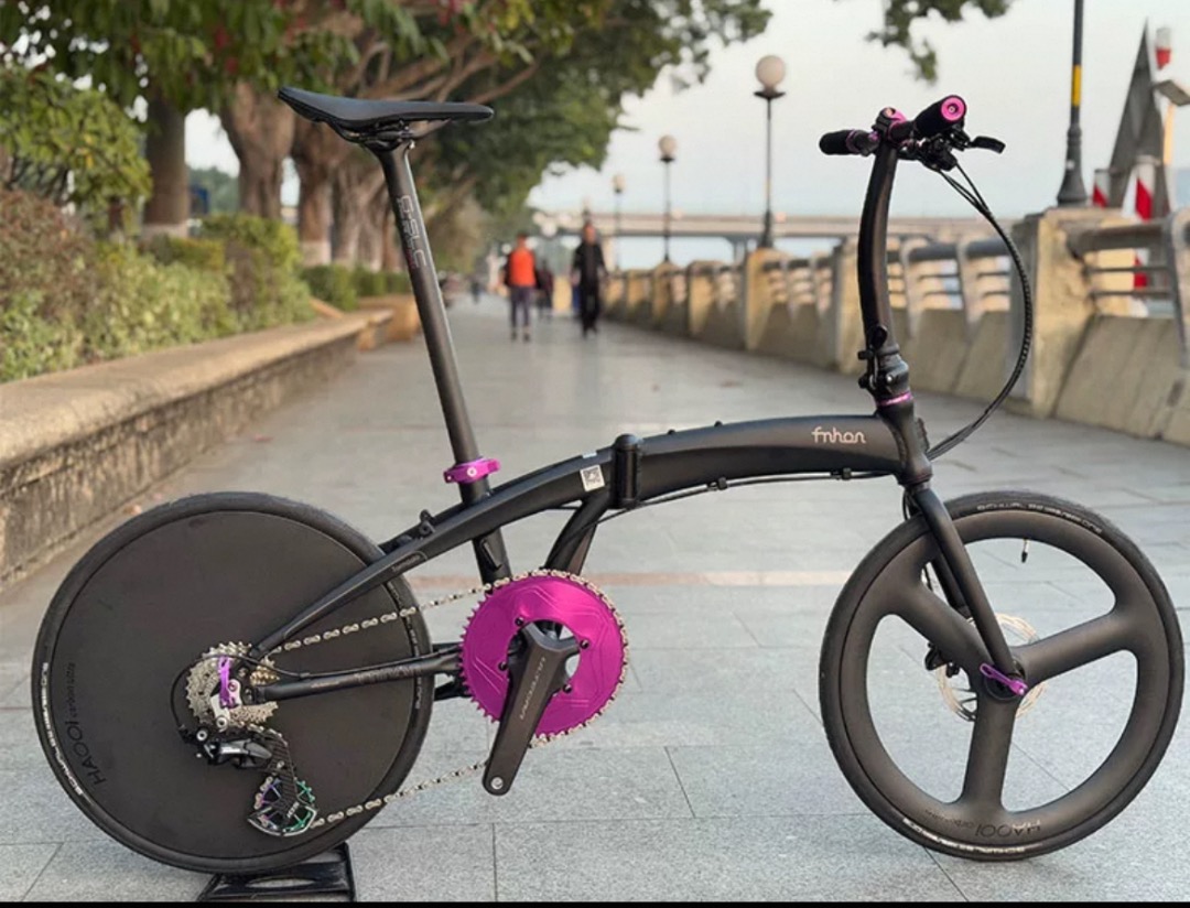 Fnhon Tornado 20/22 Inch Folding bike bicycle Custom Built Sora 9 Speed ...