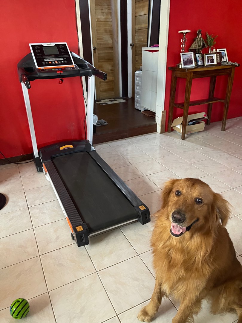 Matrix MT901 Treadmill For Sale - Malolos, Sports Equipment, Other ...