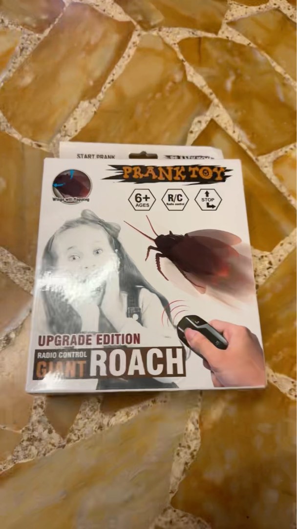 Remote Control Cockroach Prank Toy, Hobbies & Toys, Toys & Games on ...