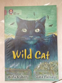 WILD CAT(STORYBOOK), Hobbies & Toys, Books & Magazines, Storybooks on ...