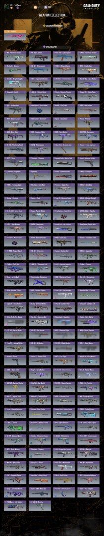 CODM ACCOUNT GOT ROZE SKIN, Video Gaming, Video Games, Others on Carousell