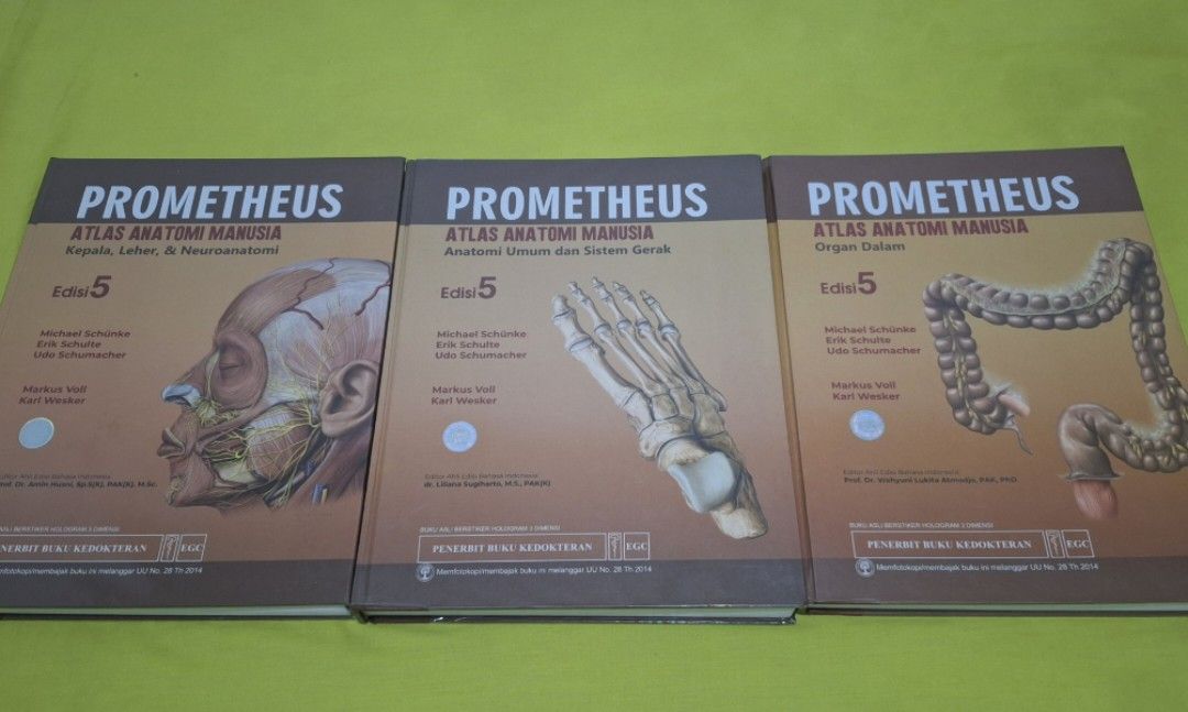 EGC Prometheus Edisi 5 Buku Kedokteran Anatomi Preloved 1 Set Original, Buku & Alat Tulis, Buku ...