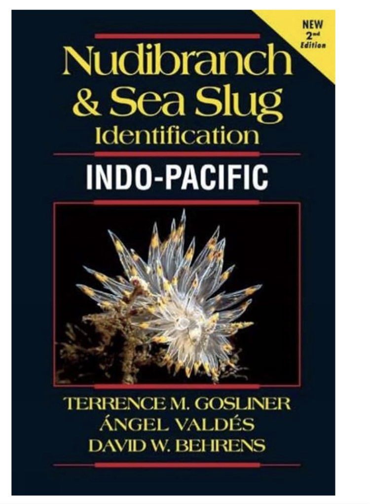 Nudibranch & Sea Slug Identification - Indo-Pacific- 2nd Edition 潛水 圖鑑 ...