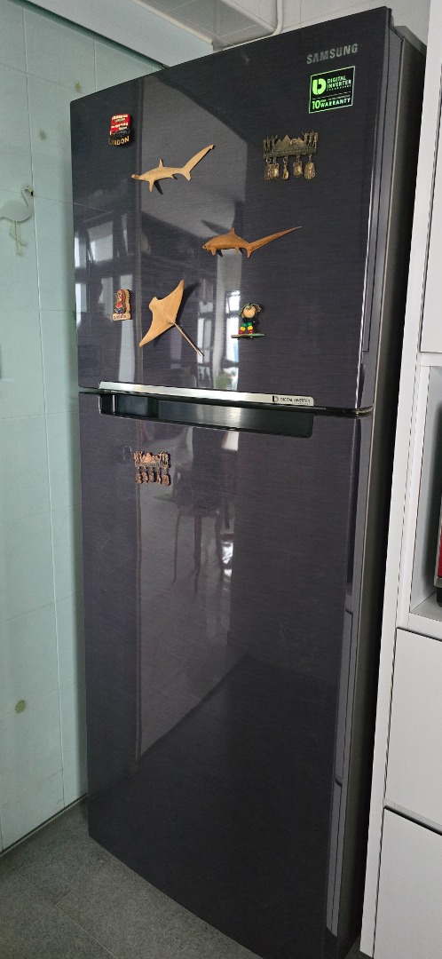 Samsung 2 Door Fridge, TV & Home Appliances, Kitchen Appliances ...