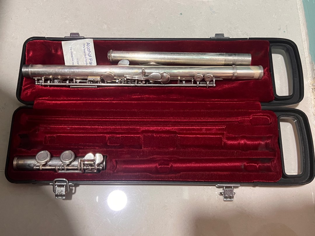 Flute with hard casing, Hobbies & Toys, Music & Media, Musical ...
