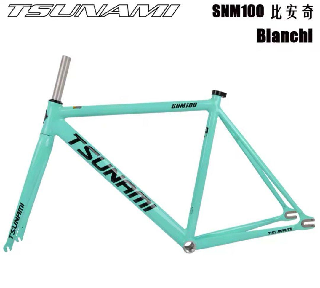 *Frame Tsunami SNM100 Authentic Frame & Fork included Headset Seat ...