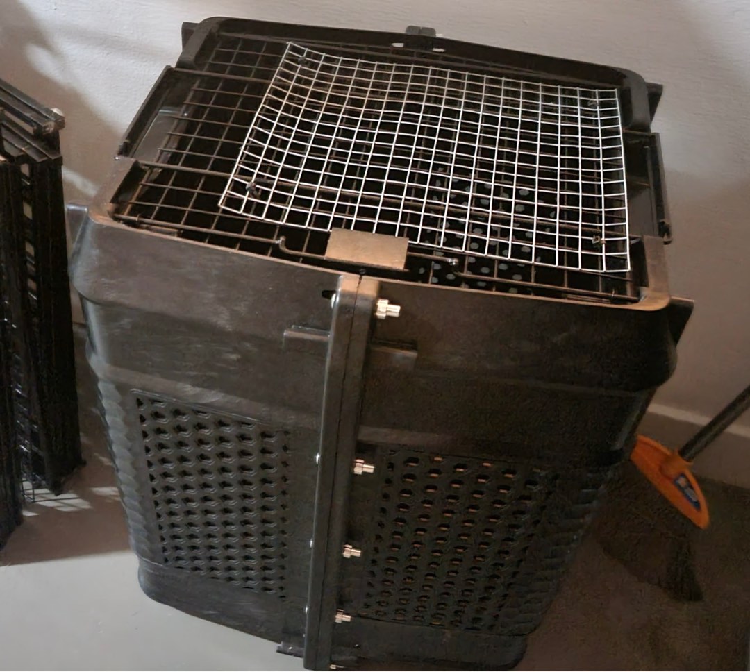 PP40 Crate Airline Approved Dog Cage Transport Carrier in Black, Pet ...