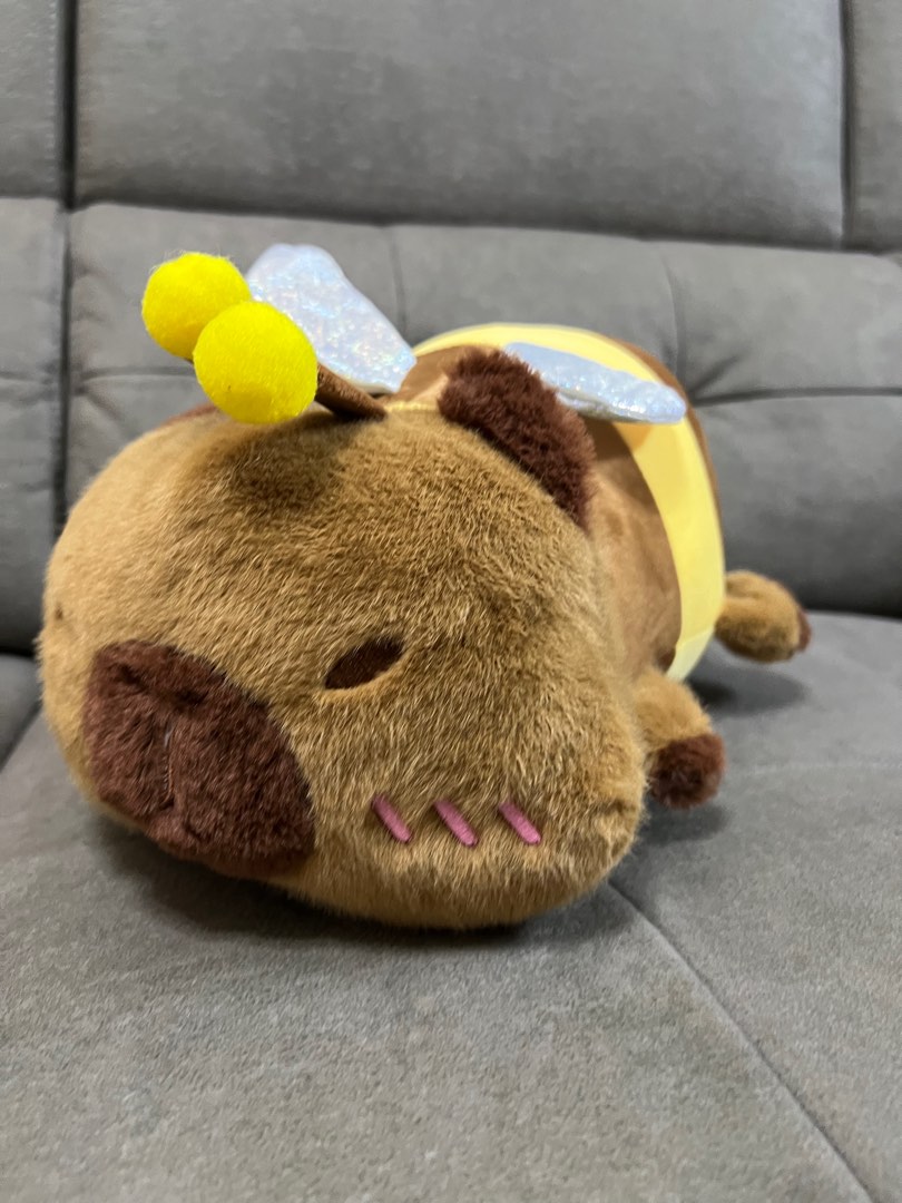 Capybara honey bee, Hobbies & Toys, Toys & Games on Carousell