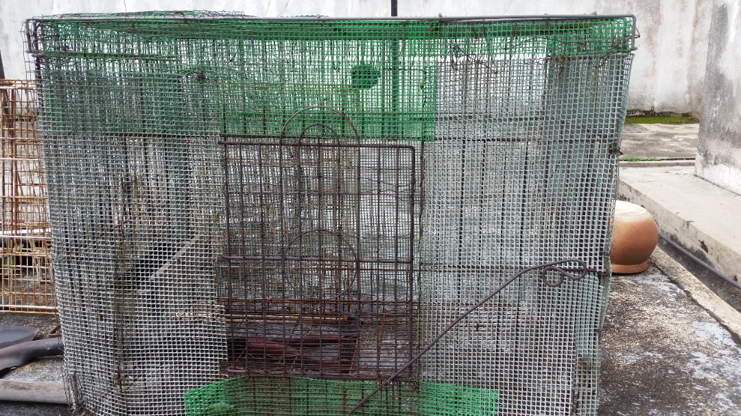 Chicken coop reban ayam rabbit cage bird hamster cat, Pet Supplies ...