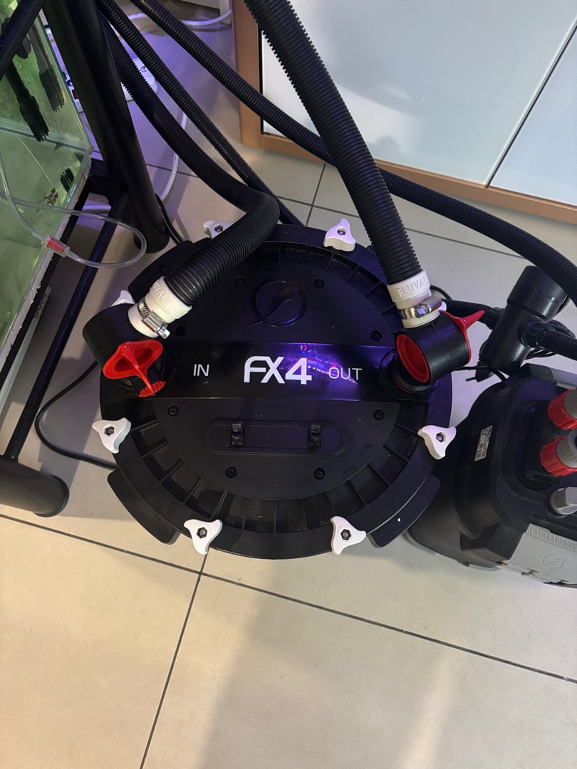 Fluval FX4 Canister filter, Pet Supplies, Homes & Other Pet Accessories ...