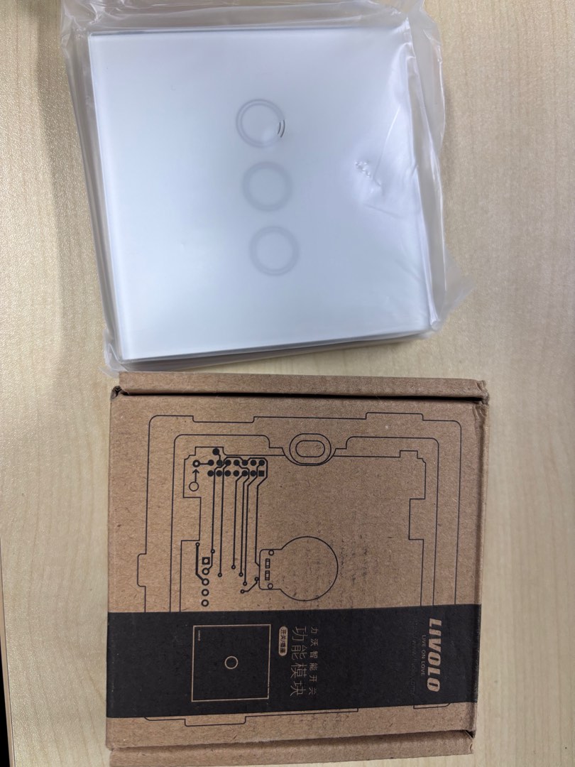 Livolo switch, Furniture & Home Living, Lighting & Fans, Lighting on ...