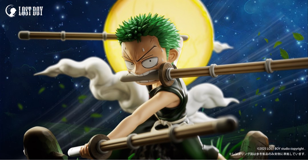 One piece Zoro boy on Carousell