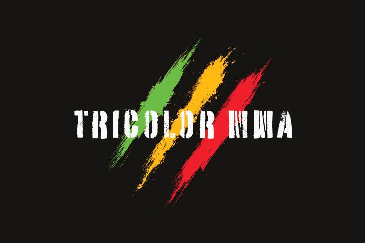 Tricolor MMA Membership (16 Sessions) for Muay Thai, MMA, Boxing, BJJ ...
