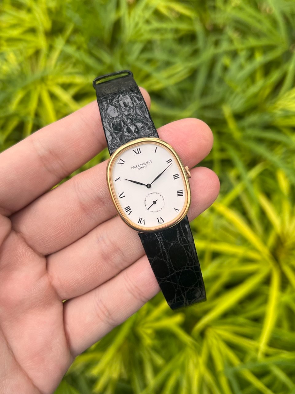 UNPOLISHED RARE Patek Phillipe Golden Ellipse 3948 White Roman Dial ...