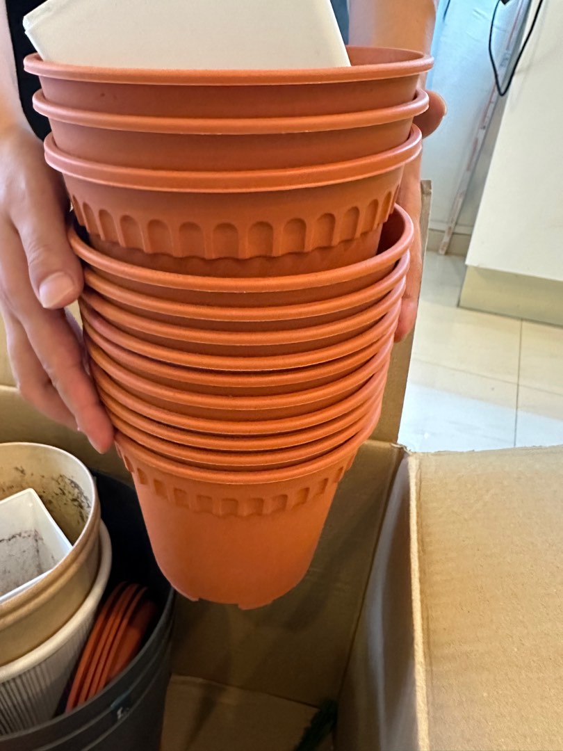 Plant pots, Furniture & Home Living, Gardening, Pots & Planters on ...