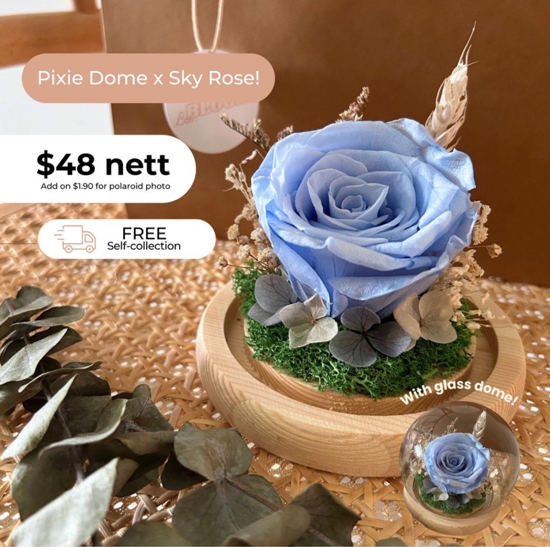 Sky Blue Rose Glass Dome, Hobbies & Toys, Stationery & Craft, Flowers ...