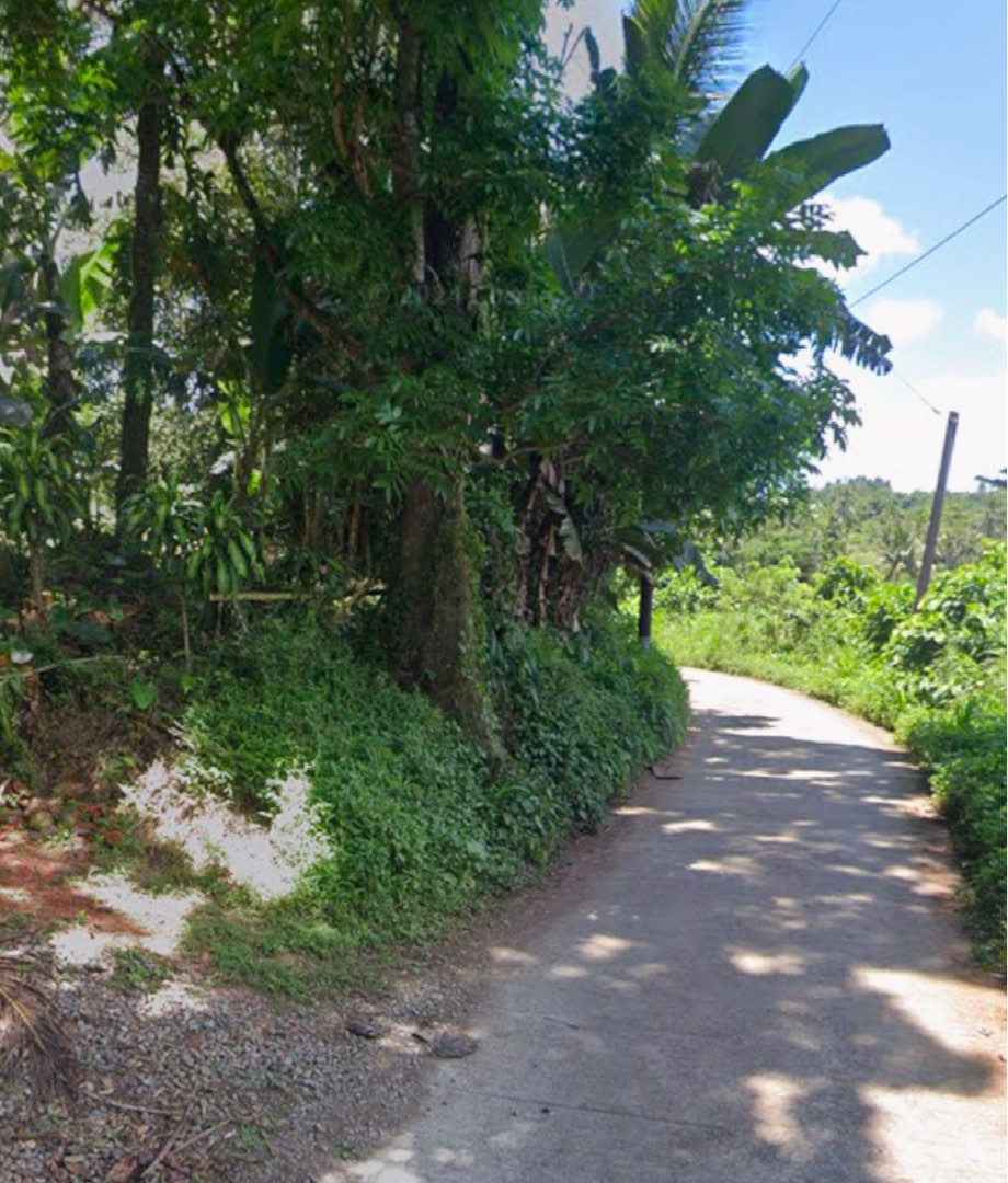 2.4 Hectares Farm Lot in Lucban, Quezon - For Sale!, Property, For Sale ...