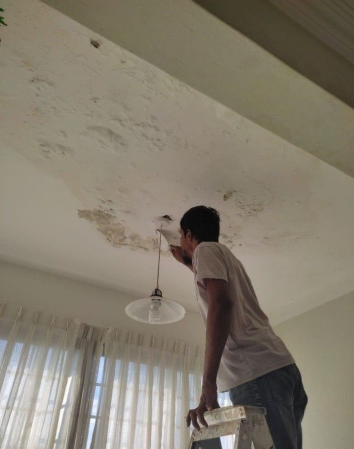 Mould solution/ceiling mould remove/touch up plaster/mould chemical/all ...