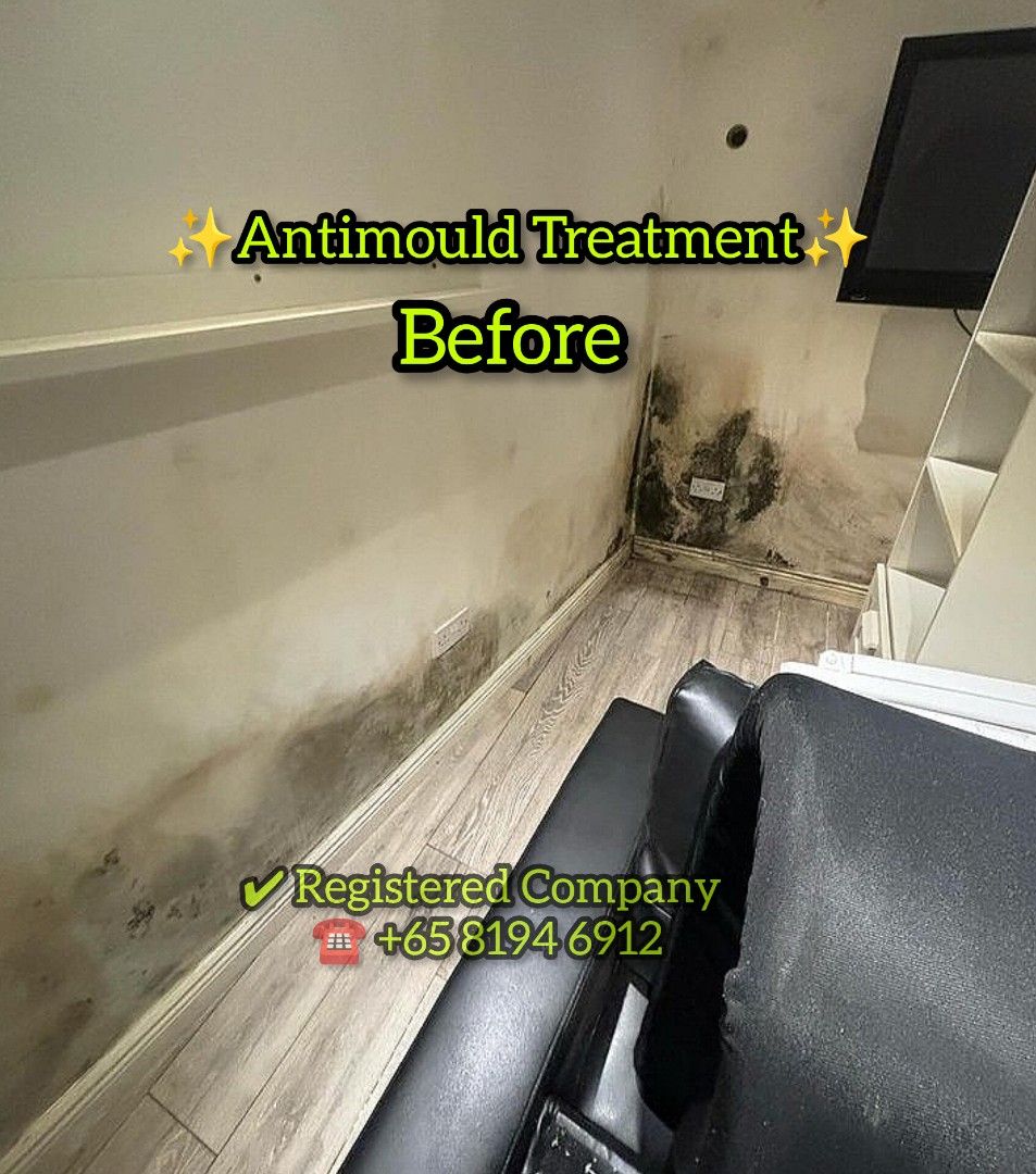 Antimould treatment with painting service/Ceiling and wall mould ...