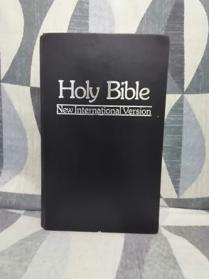 Holy Bible: New International Version Large Print 1984, Hobbies & Toys ...