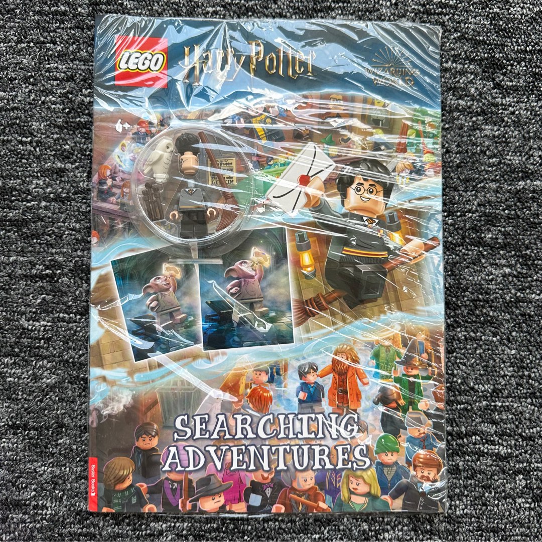 LEGO WIZARDING WORLD Harry Potter & Hermione Granger, Hobbies & Toys ...