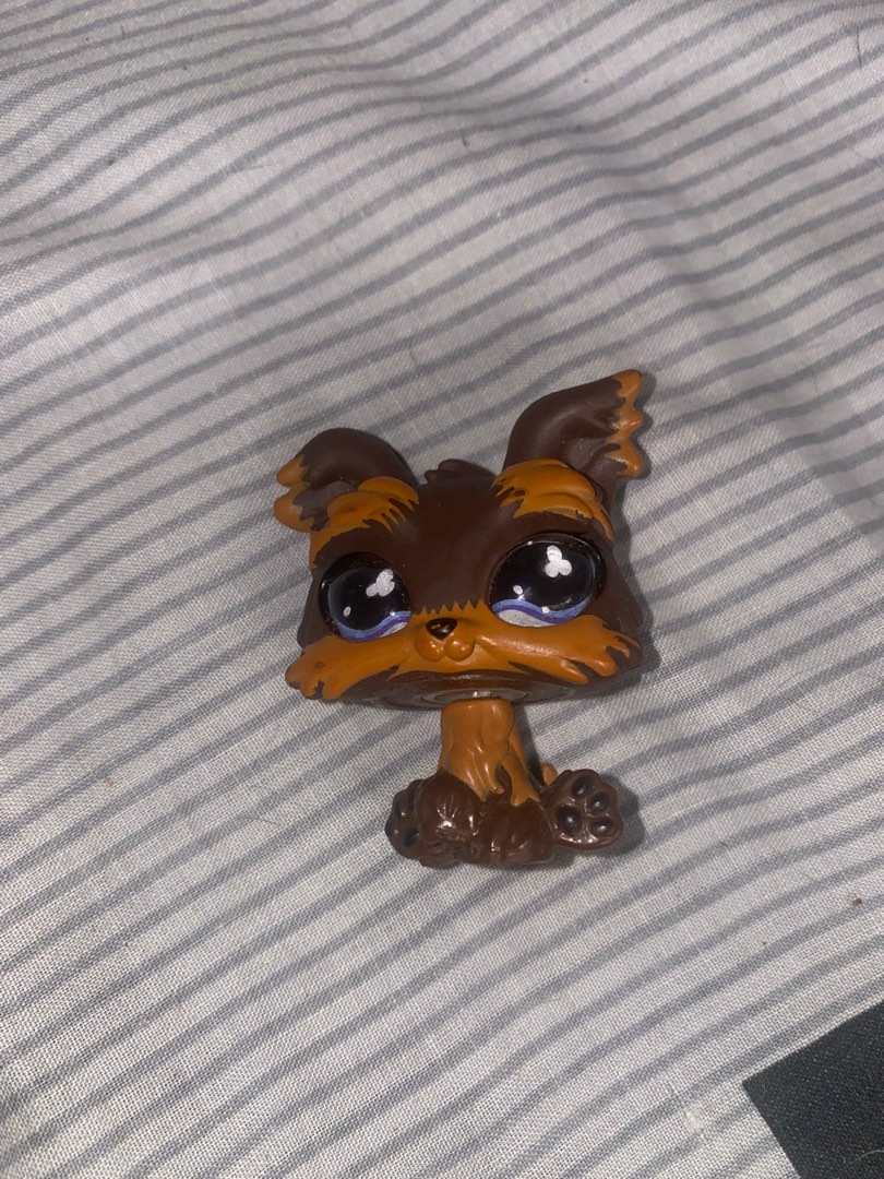 (read desc) lps littlest pet shop yorkie, Hobbies & Toys, Toys & Games ...