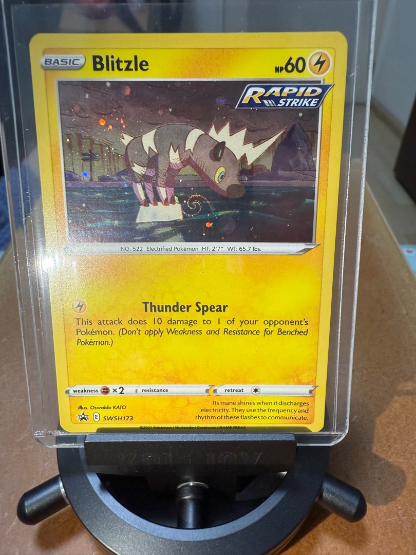 Swirl : Blitzle SWSH173 Black Star Holo Promo - Fusion Strike Pokemon ...