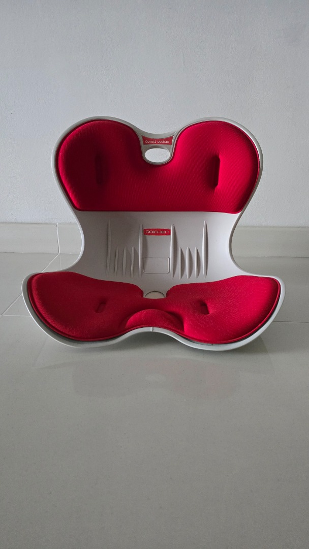 Basic Ergonomic Chair, Posture Correction Chair, Lumbar Support, Back ...