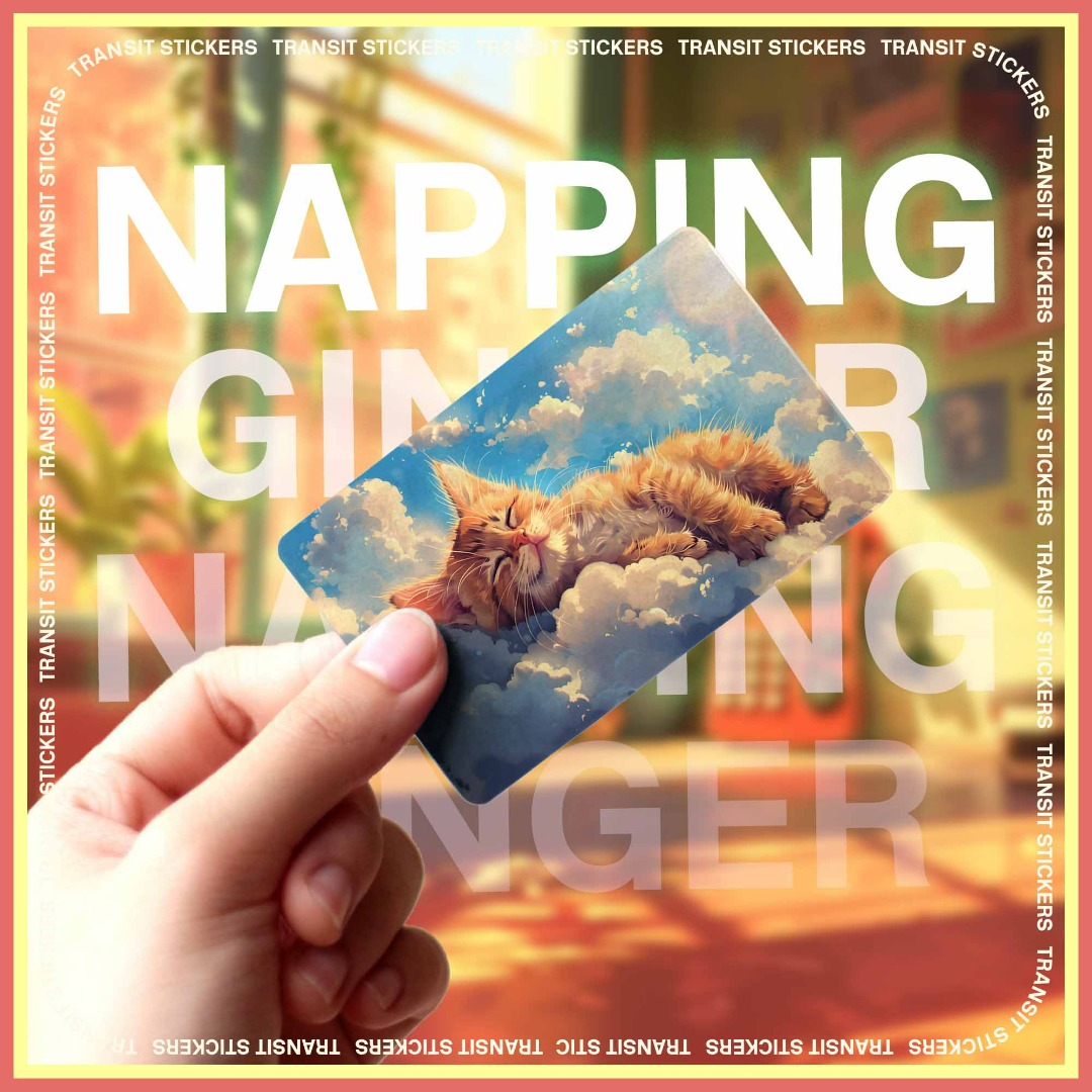 Cloud-Napping Ginger Cat | LRT, MRT, BRT, TnG and MyRapid Card Sticker ...