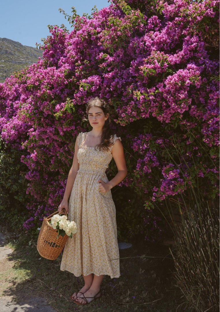 BNWT Susy and bae darcy day dress in mayflower, Women's Fashion ...