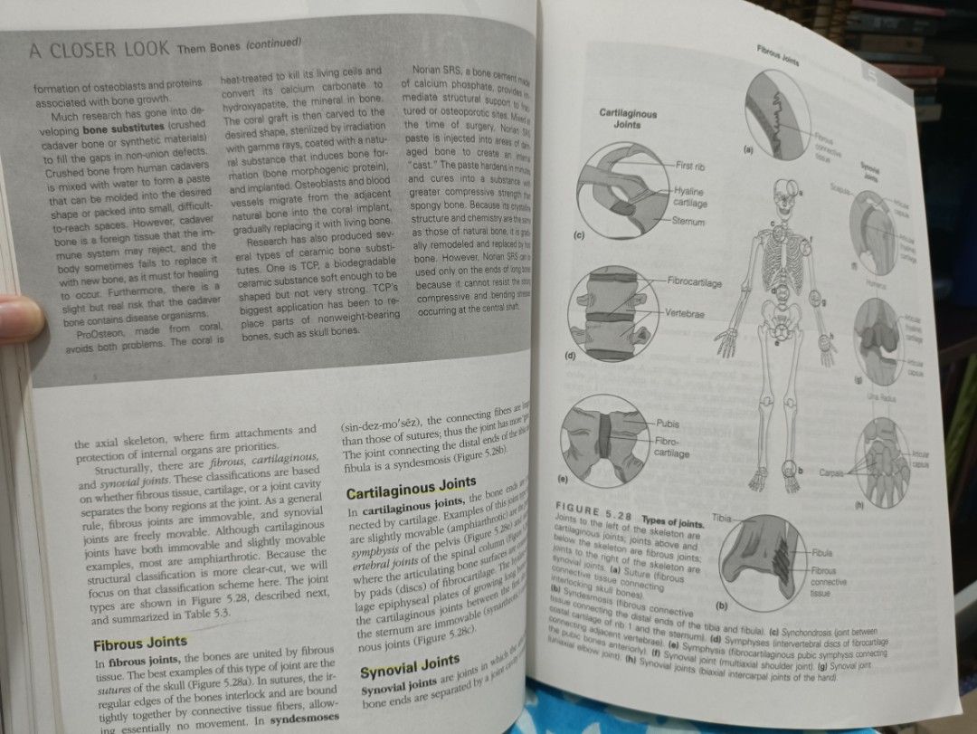 Essentials of Human Anatomy & Physiology 9th Edition By Elaine N ...