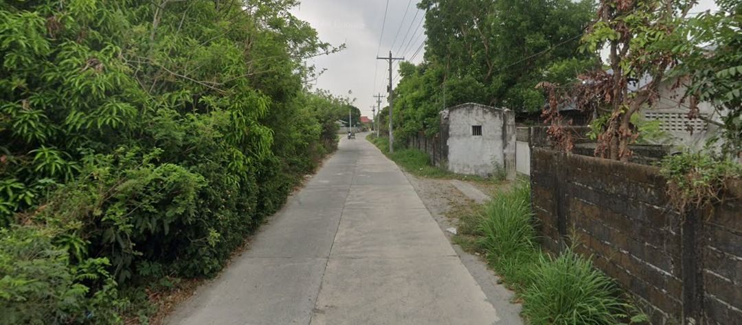 FOR SALE - Lot with remnants of piggery and a vacant lot in Bamban ...