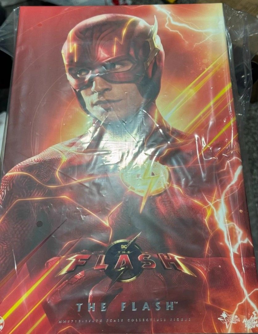 Hot Toys The Flash MMS713 Normal Version 1/6 scale, Hobbies & Toys ...