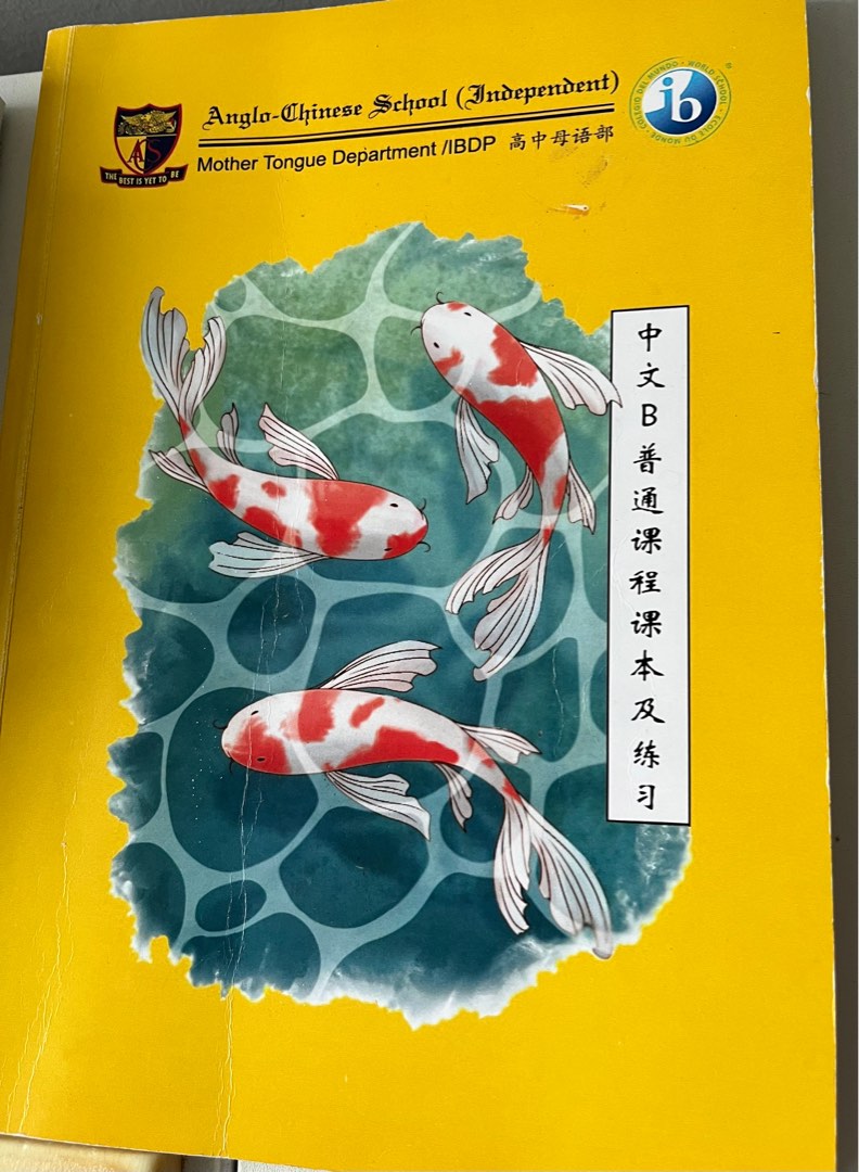 IB Chinese B Textbook, Hobbies & Toys, Books & Magazines, Textbooks on ...