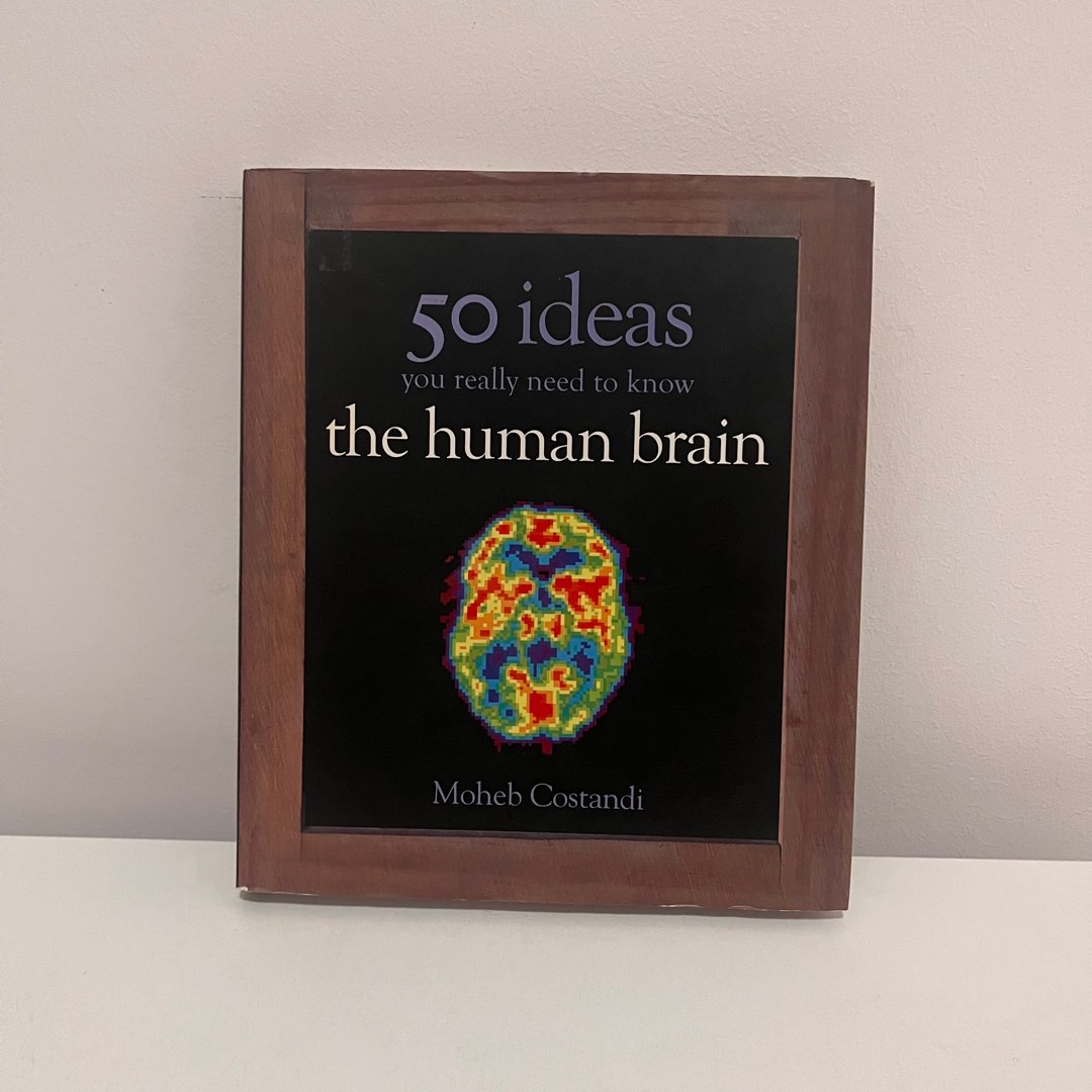 50 Human Brain Ideas by Moheb Costandi, Hobbies & Toys, Books ...