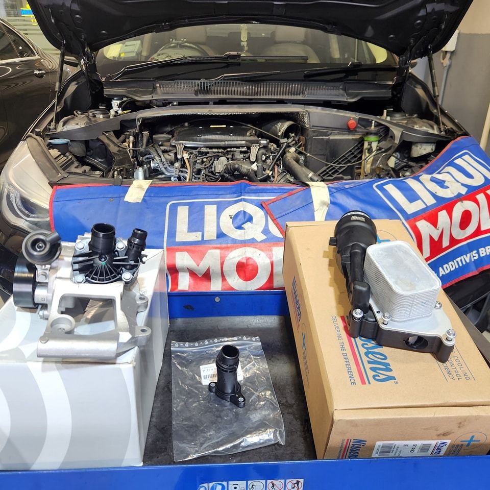 BMW F46 216D Replace Original Thermostat/Water Pump, OEM Oil Filter ...