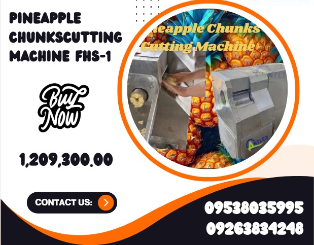 PINEAPPLE CHUNKS CUTTING MACHINE FHS-1, Everything Else, Others on ...