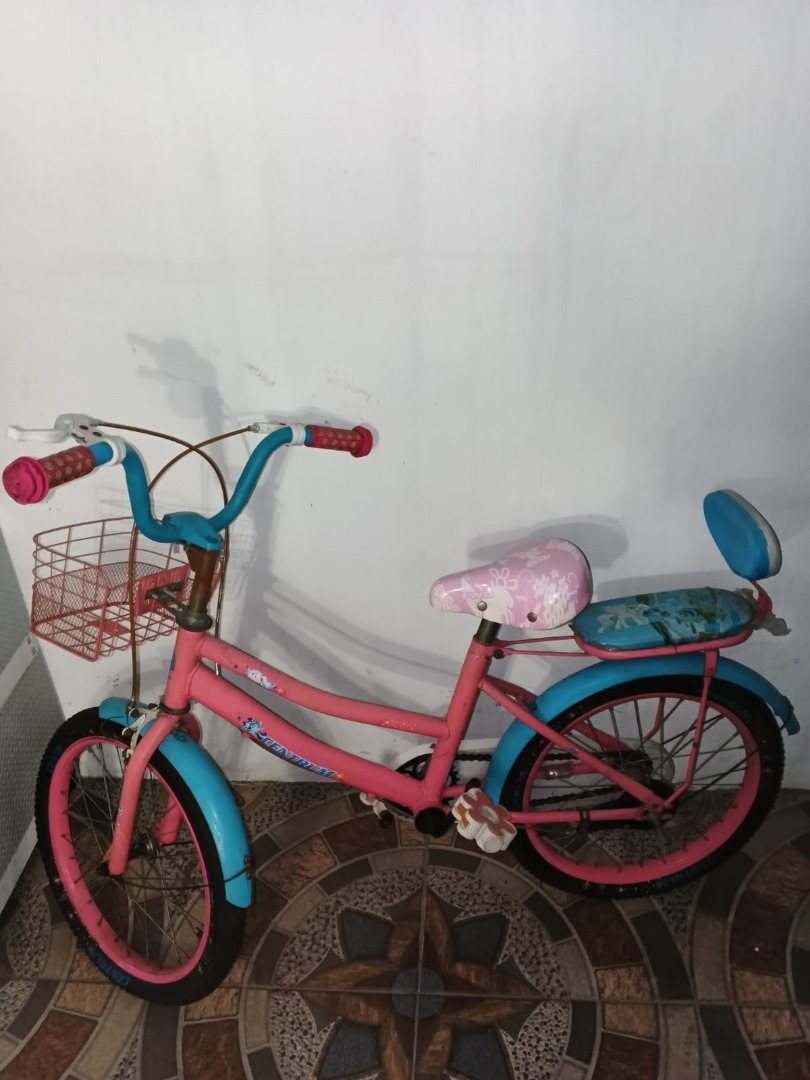 SEPEDA ANAK PINK 16 inch MASIH BAGUS JARANG DIGUNAKAN, Olah Raga ...