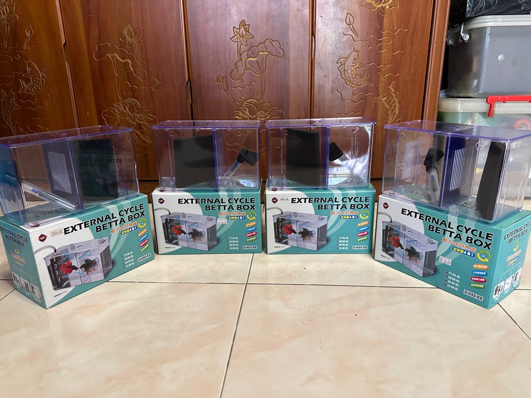Betta box, Pet Supplies, Homes & Other Pet Accessories on Carousell