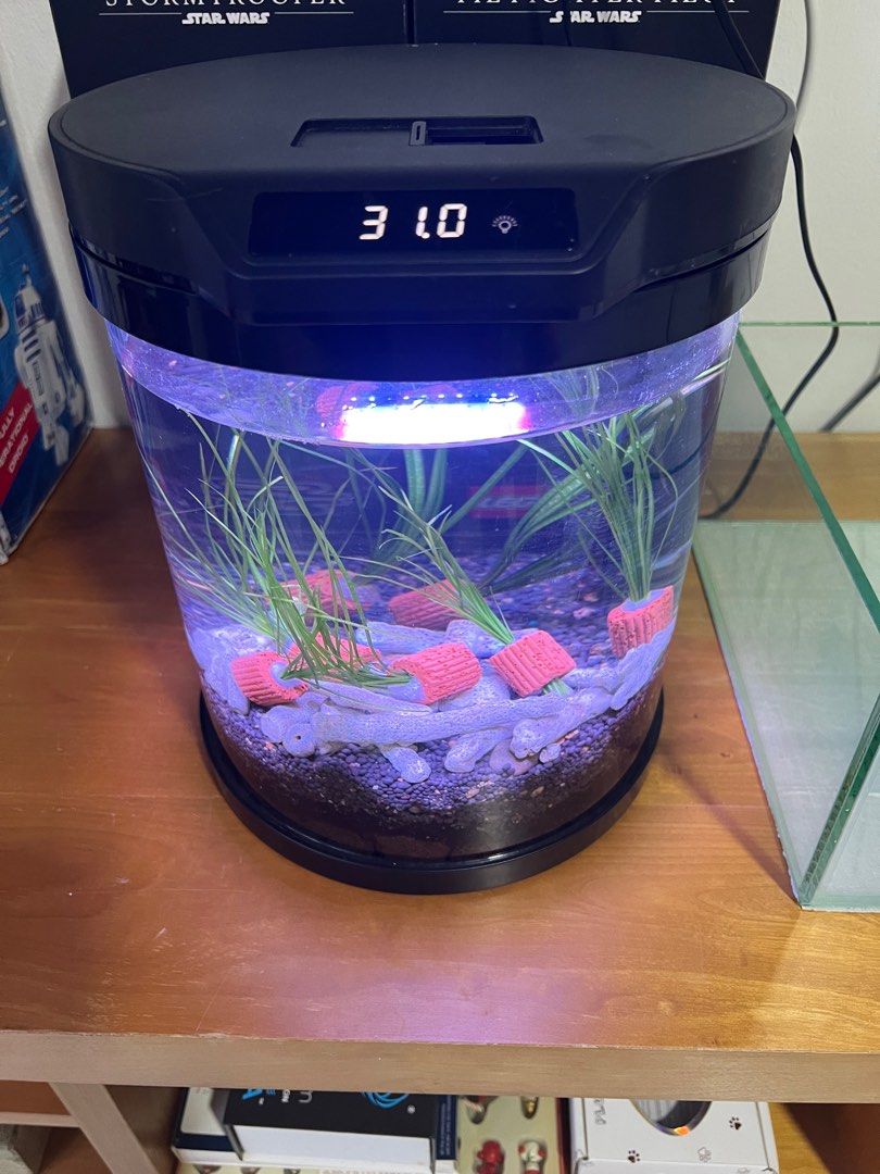 Cyclinder Aquarium with built in pump and light + temperature indicator ...