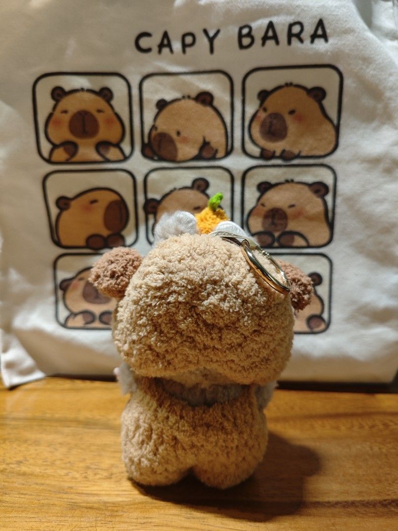 Labubu Doll Clothes (Capybara), Hobbies & Toys, Toys & Games on Carousell